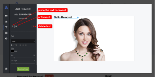 Create Cool Designs Using Free Online Photo Editor