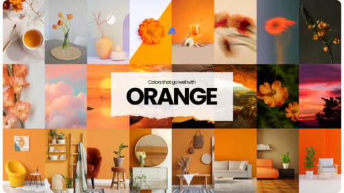 Design Inspiration: What Colors Go Well With Orange? - Removal.AI