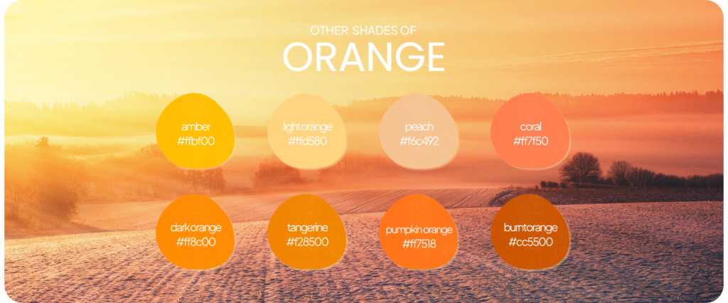 Design Inspiration: What Colors Go Well With Orange? - Removal.AI